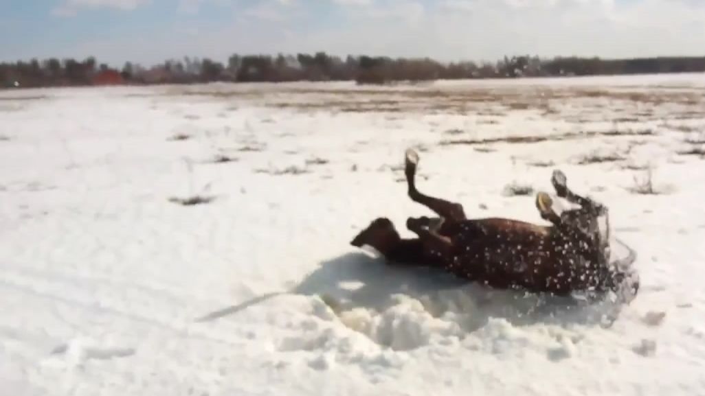 Снежные ванны бодрят и веселят