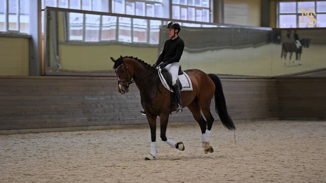 LINDBALLE'S ZANTANA