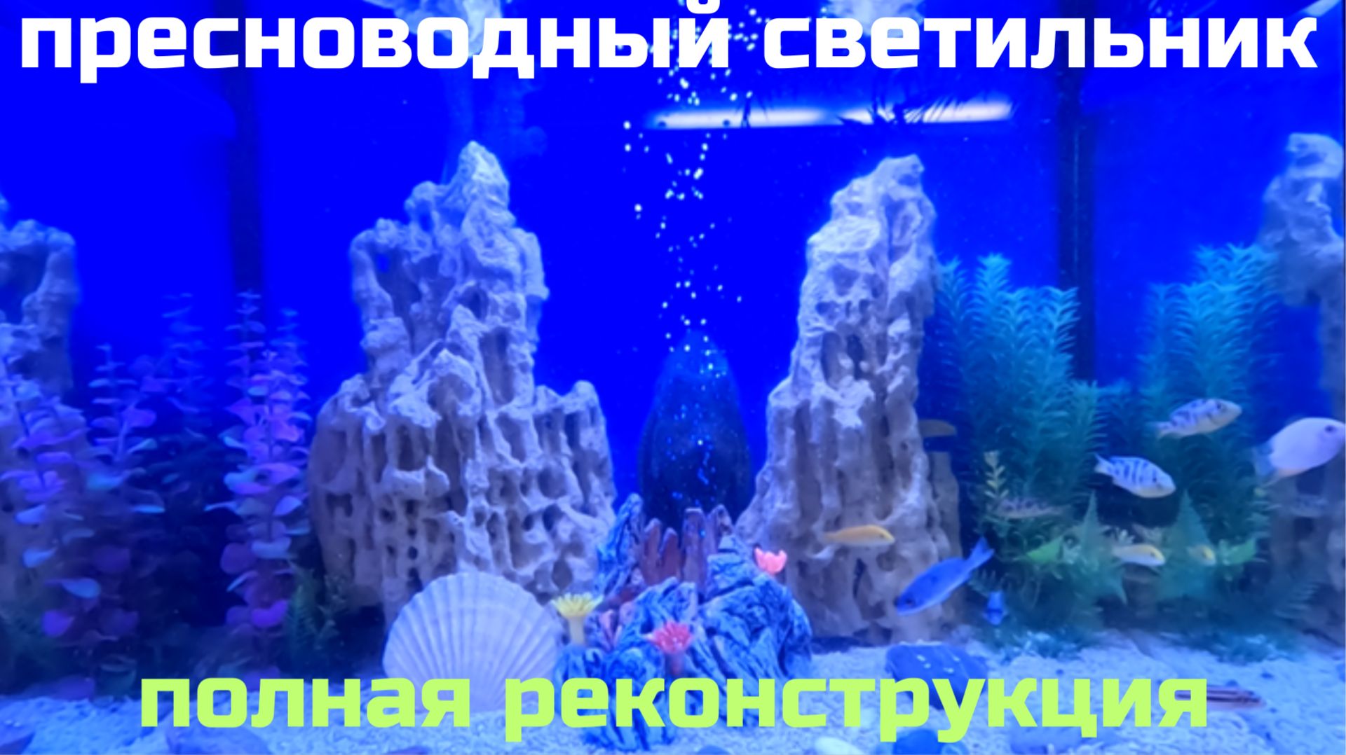 Реконструкция СВЕТИЛЬНИКА для пресноводного аквариума!!!  #аквариум  #оформлениеаквариума #aquarium