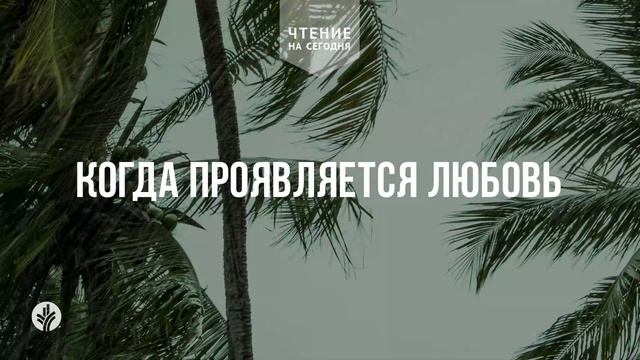 КОГДА ПРОЯВЛЯЕТСЯ ЛЮБОВЬ  | АУДИО |	8	  февраля 2026