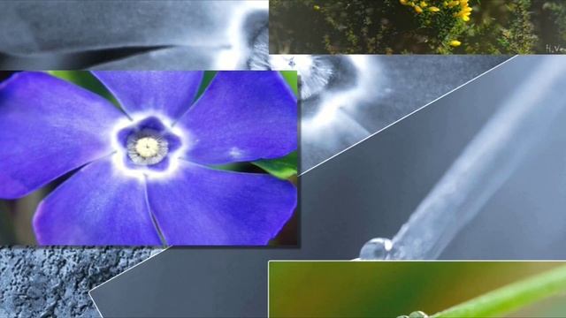 Nilotpala - Великая сеча