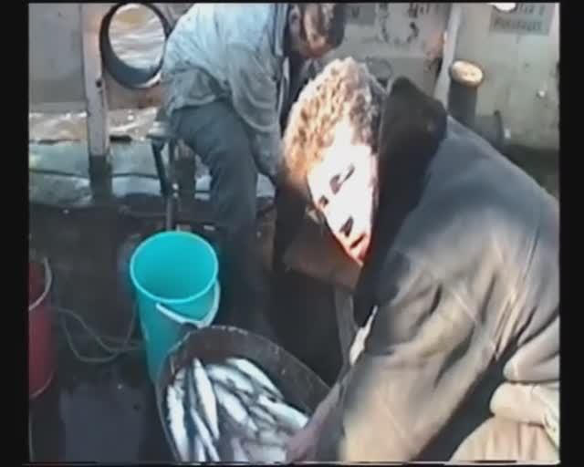 За полярным  кругом  (Тамбей  4).
Обская губа