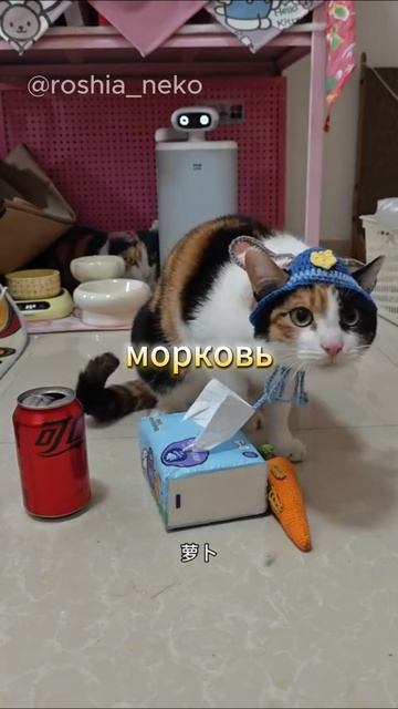 Популярный китайский мем