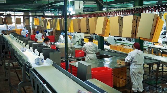 Саянский Бройлер - 35 лет