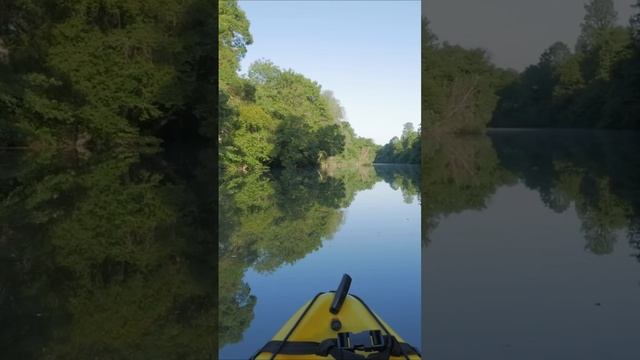 Манипуляция чувством вины. Ответ психолога Александры Боровиковой