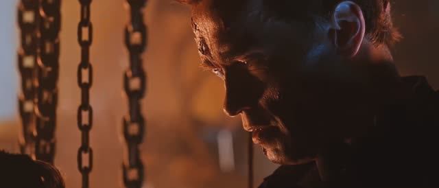 Кошка Сашка. "Идеальный солдат"