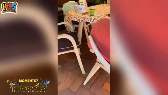 Попробуй не рассмеяться 🤩 Топ-100 самых смешных видео за всю историю 😏  Подборка  видео 2026