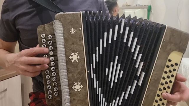 Разбор на гармони "Буран микэн" от Радика Газизова