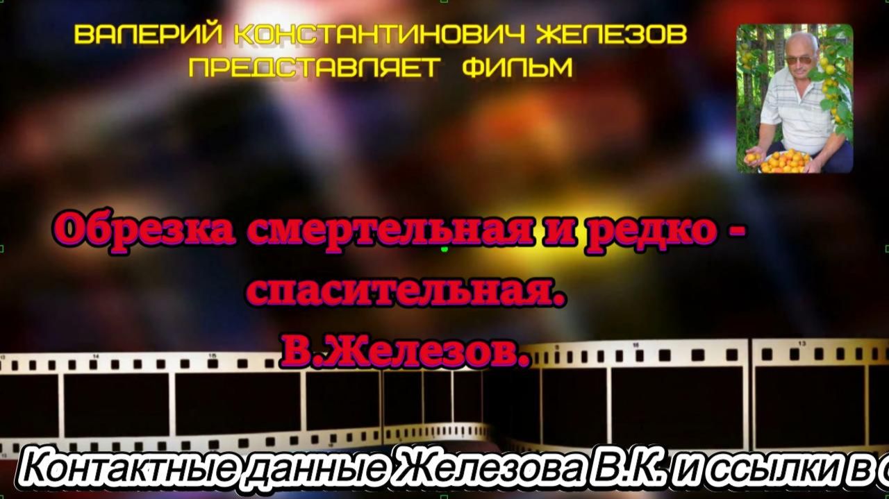 Обрезка смертельная и редко - спасительная. В.Железов.