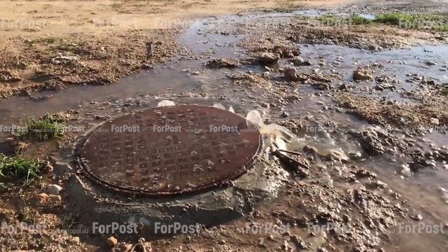 На проспекте Античном снова течёт канализация