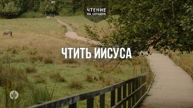 ЧТИТЬ ИИСУСА  | АУДИО |	11	  февраля 2026