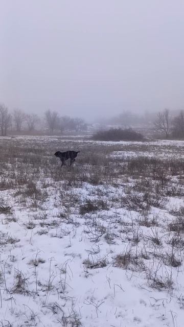 Тренируем аппортировку#shorts