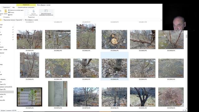 Обрезка смертельная и редко - спасительная. В.Железов. Серия 2.