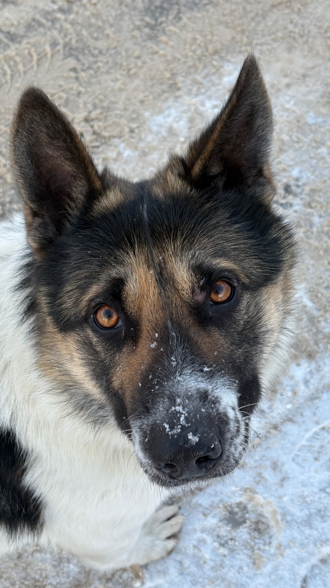 Весна уже через месяц, а зима продолжает радовать нас своей морозной красотой ❄️