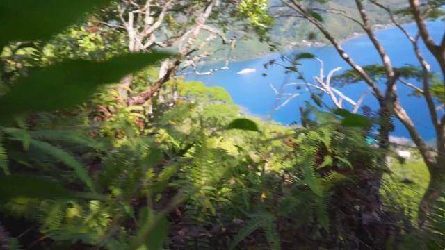 ОСТРОВ МУРЕА - Французская Полинезия