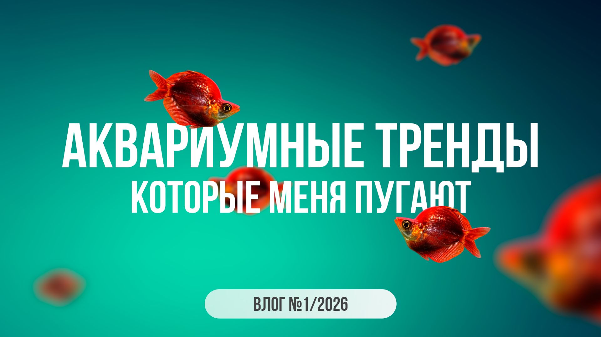 Аквариумные тренды, которые меня пугают