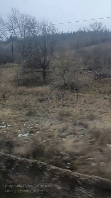 Воронежская область из окна поезда №075Н «Таврия» Омск-Симферополь в середине декабря
