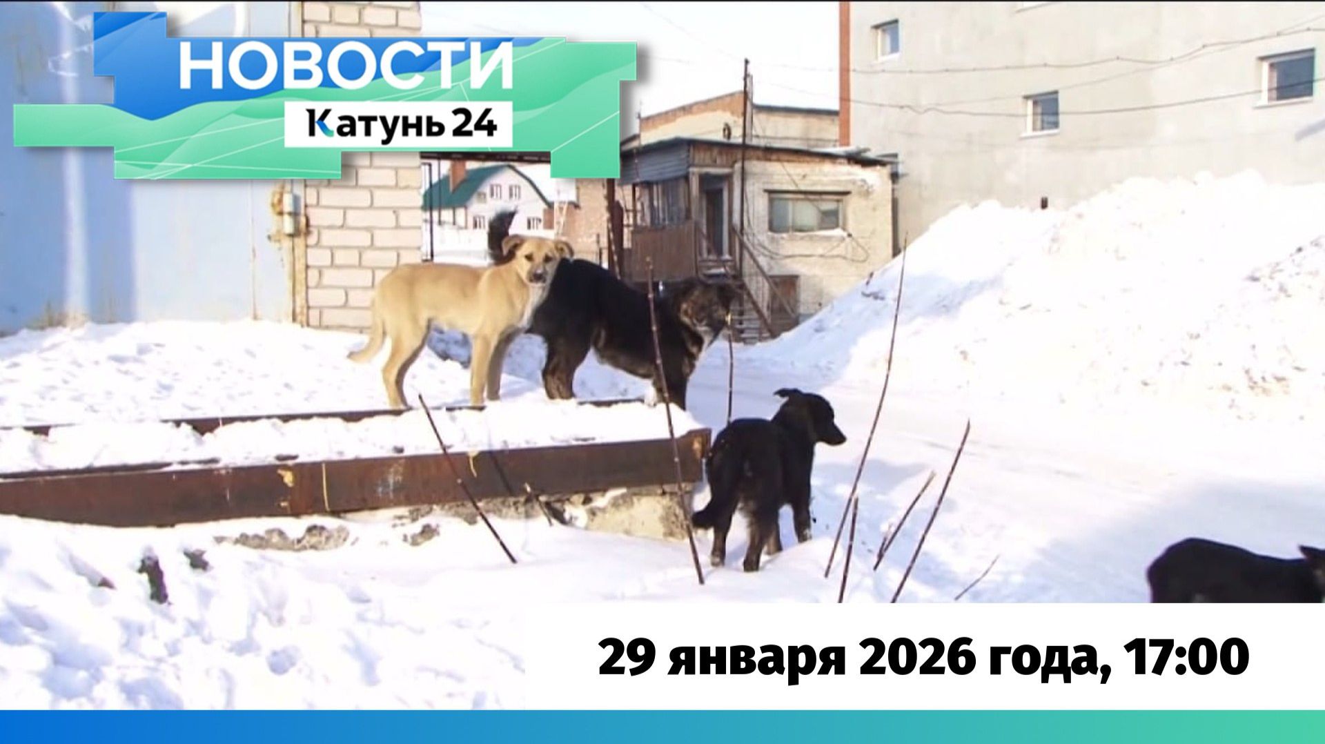 Новости Алтайского края 29 января 2026 года, выпуск в 17:00