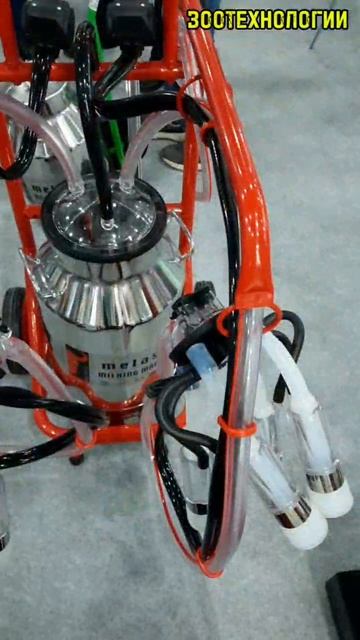 Доильный аппарат в сборе