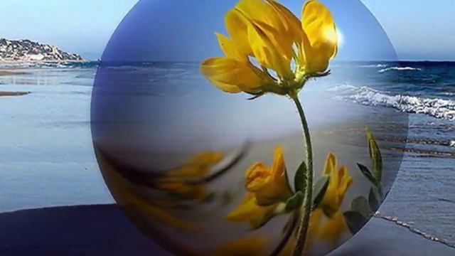 Эту жизнь я выбрала сама Лара Ермолова Снежная Автор видео Нина Рудакова