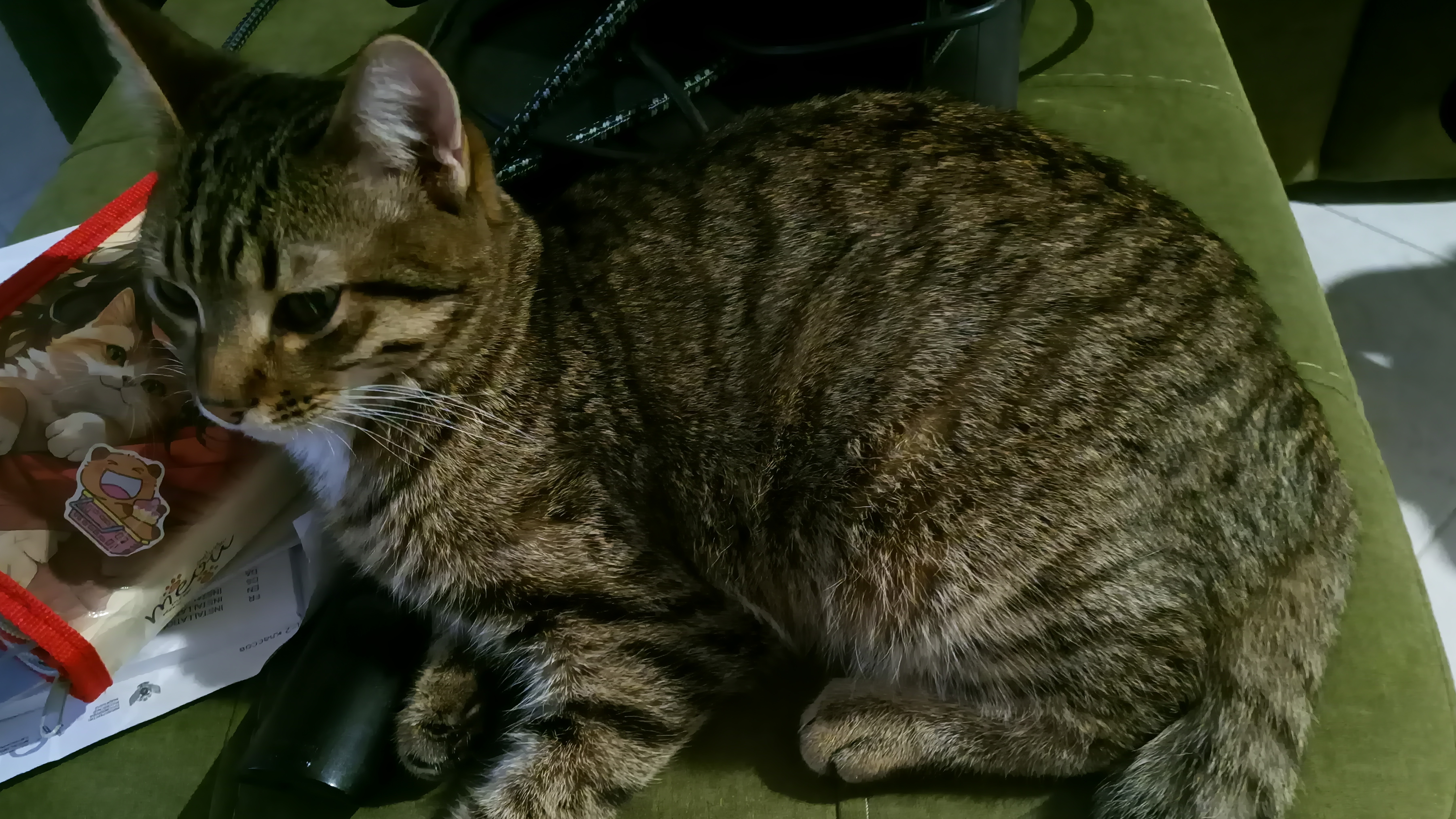 Montagem Lost Media 2 (Super SLOWED)