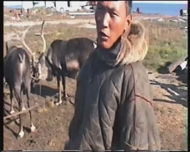 За полярным кругом  (Тамбей 3) 
Обская губа