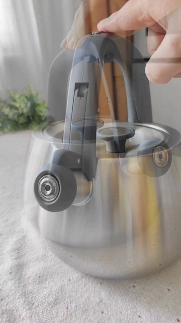 Чайник для плиты 2,2 л TalleR TR-11372 Рейнард. Обзор и технические характеристики.