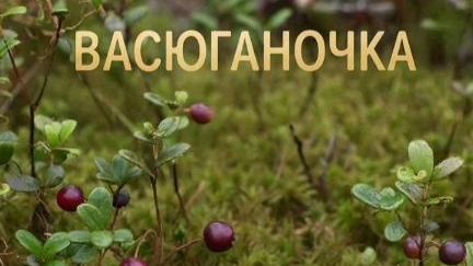 Васюганочка сл. Якушев Н. В. Муз Suno. Фото Giga Chat. Max.