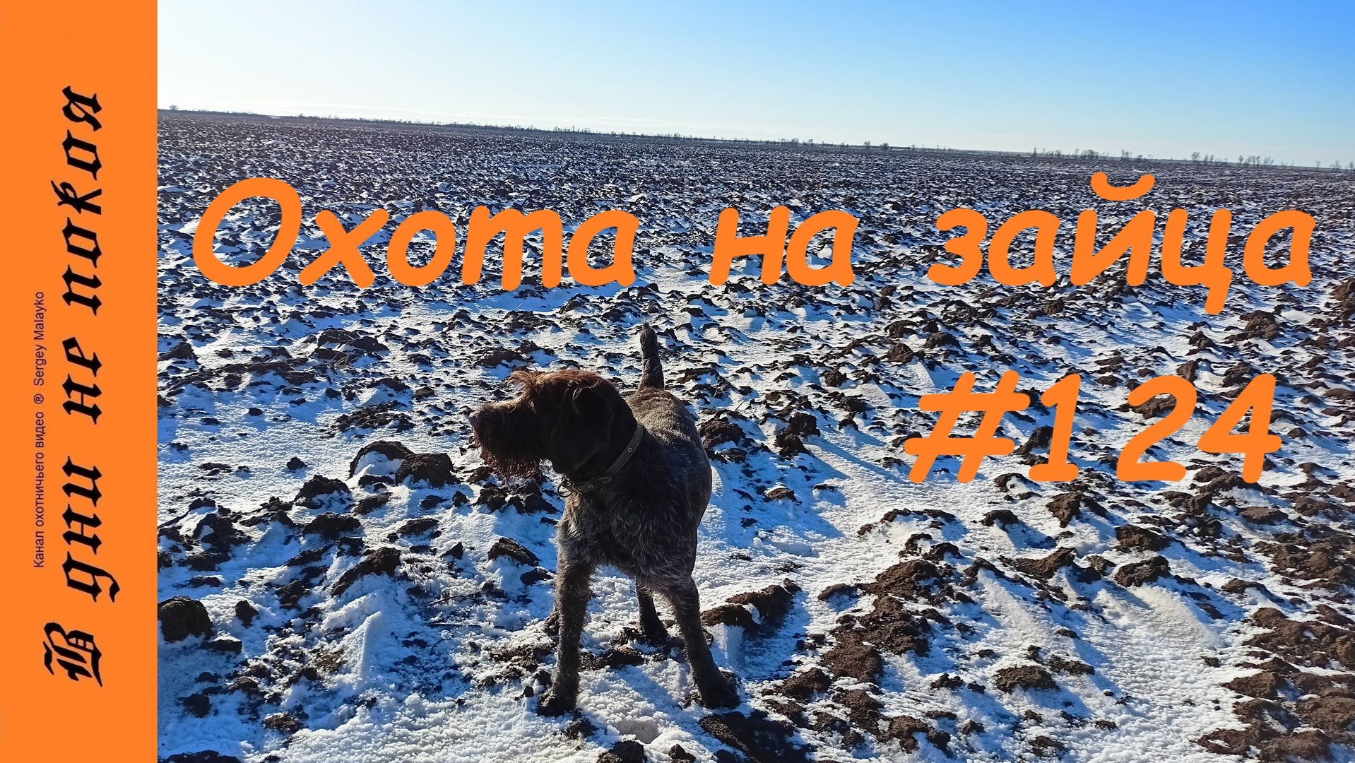 Охота на зайца. Выпуск № 124 18+