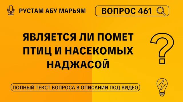 Является ли помет птиц и насекомых наджасой? || Рустем Абу Марьям