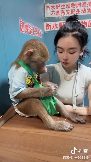 Умная бибизяна