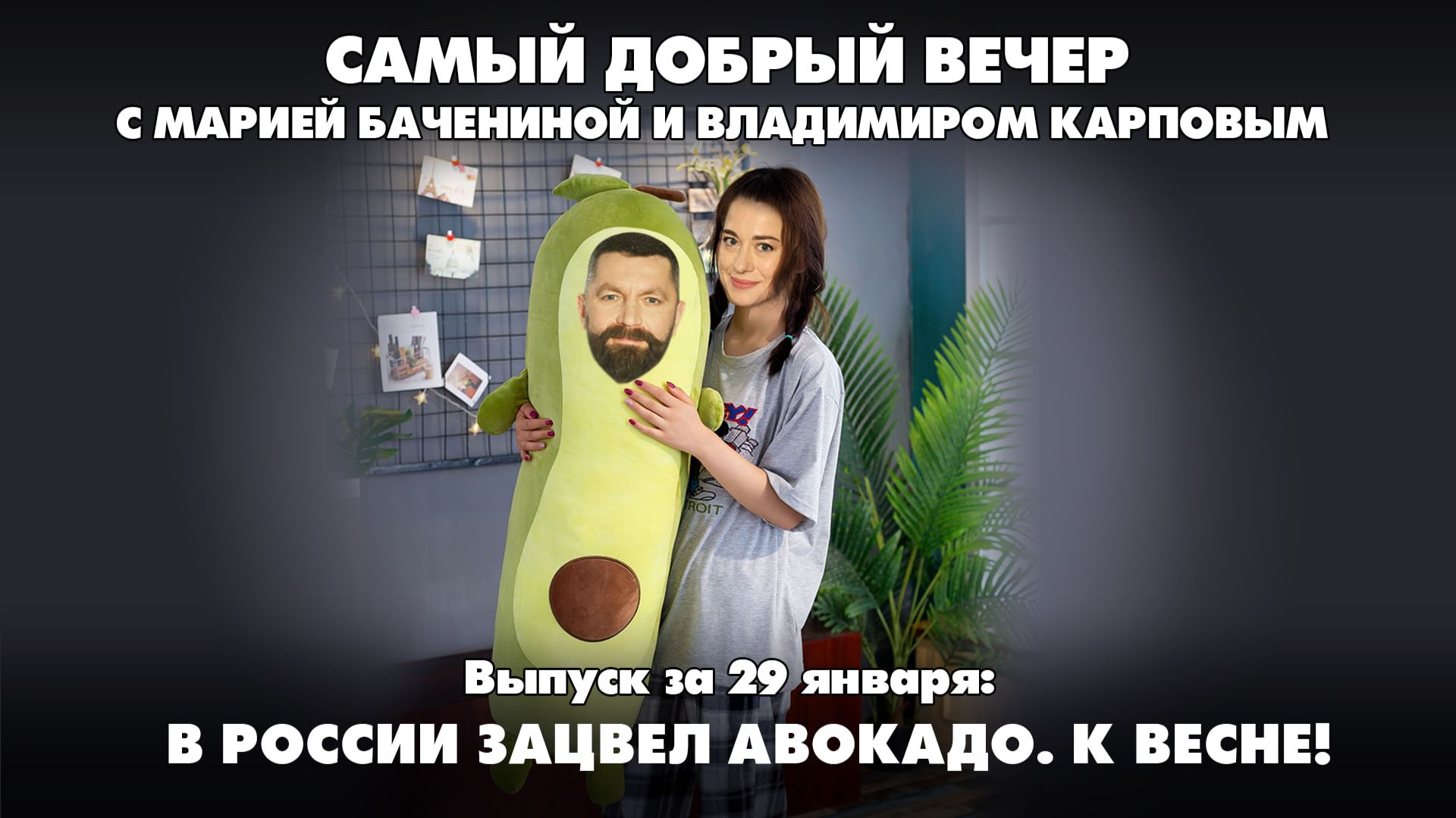 В России зацвел авокадо. К весне! | 29.01.2026