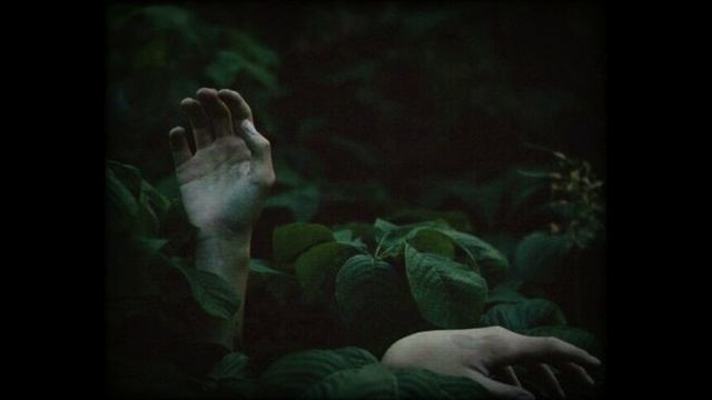 Полина Шебшаевич - "Сны богов". Глава 6 (фэнтези, читает Павел Пластинин)