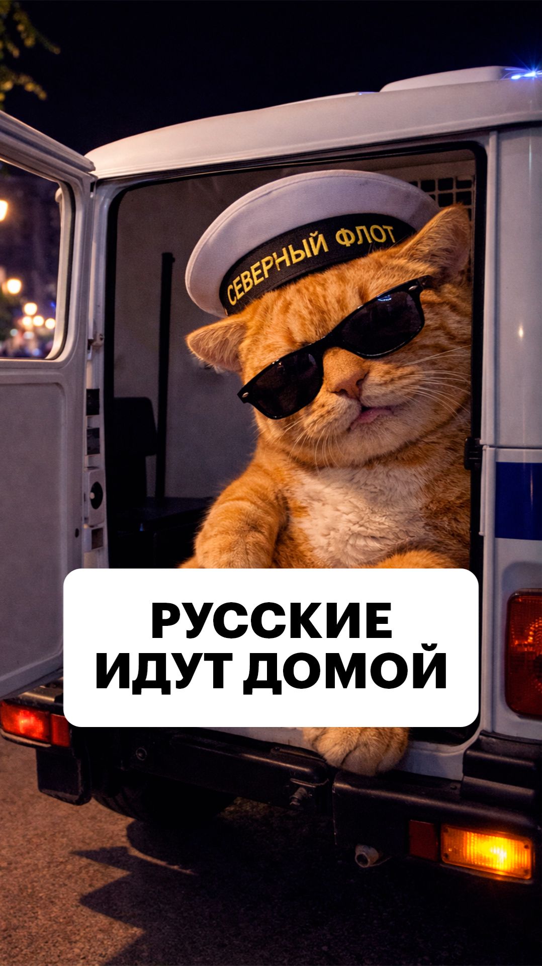 Всего хорошего, русские идут домой | Кот