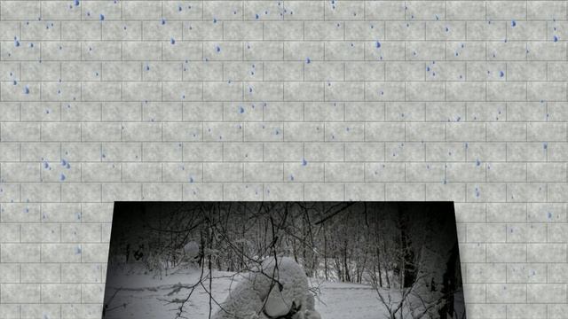 Набережная и парк Берёзовая роща в Кировском р-он Кемерово