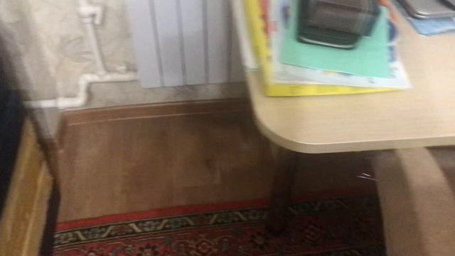 Информация о новом канале | КОТ МУРЫШ играется | для подписчиков