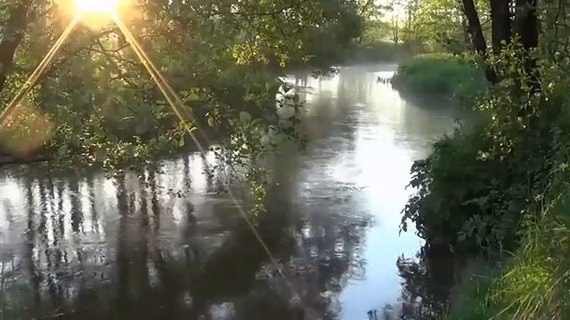 Волшебный Перезвон*Очищение*Расслабление*Благость