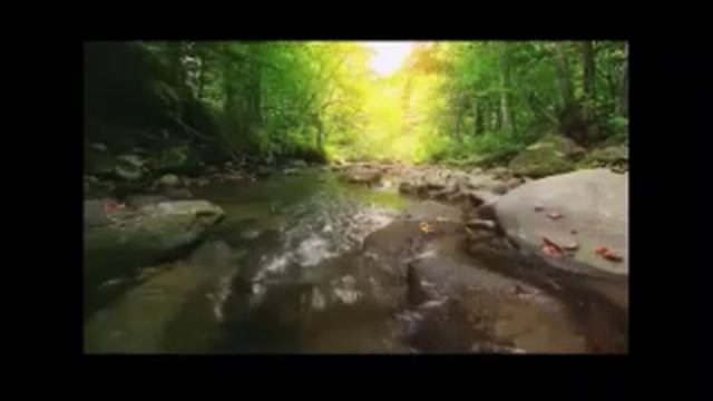 Россия в современном мире.