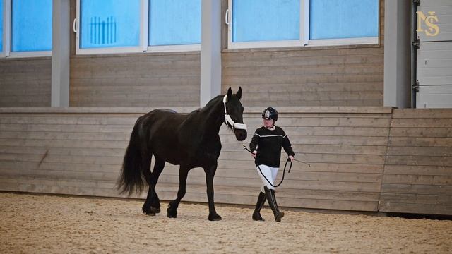 DEESJE VAN D’N MUELENPAD
