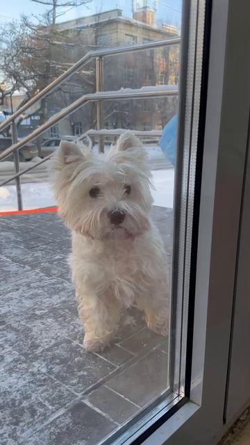 Наши утренние гости