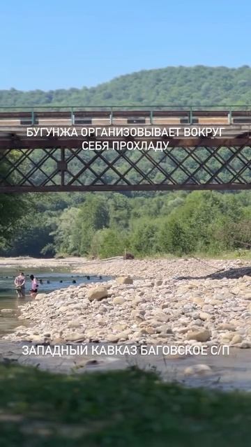 Баговские с/п