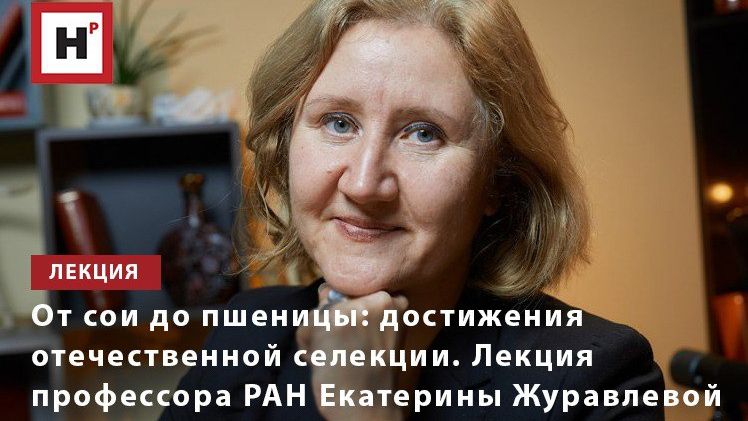 От сои до пшеницы: достижения отечественной селекции. Лекция профессора РАН Екатерины Журавлевой