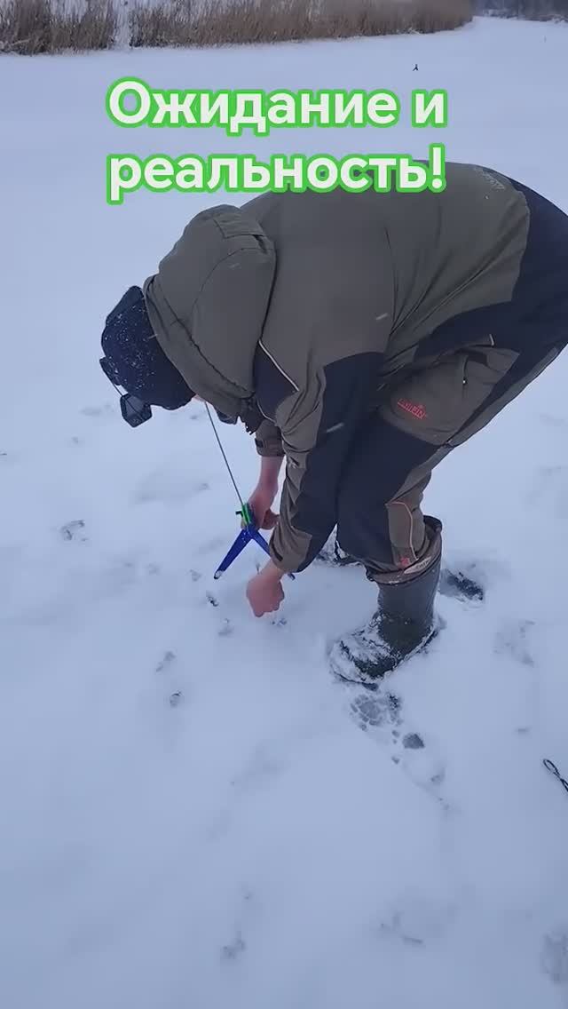 Крокодил оказался на половину растительностью!