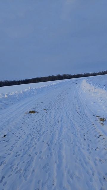 среди зимы привиделось лето