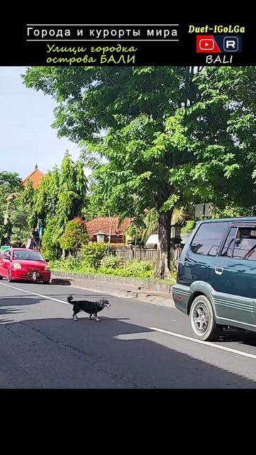 BALI - Дороги ___ Города мира