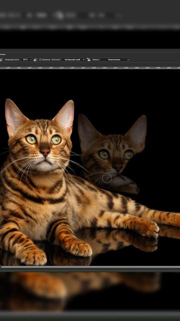 «Штамп» в AliveColors