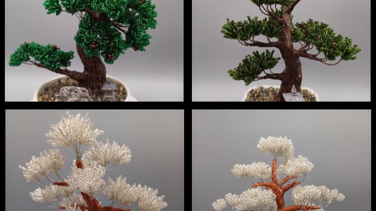 Настольные деревья. Мини садик. https://t.me/minigardenZ