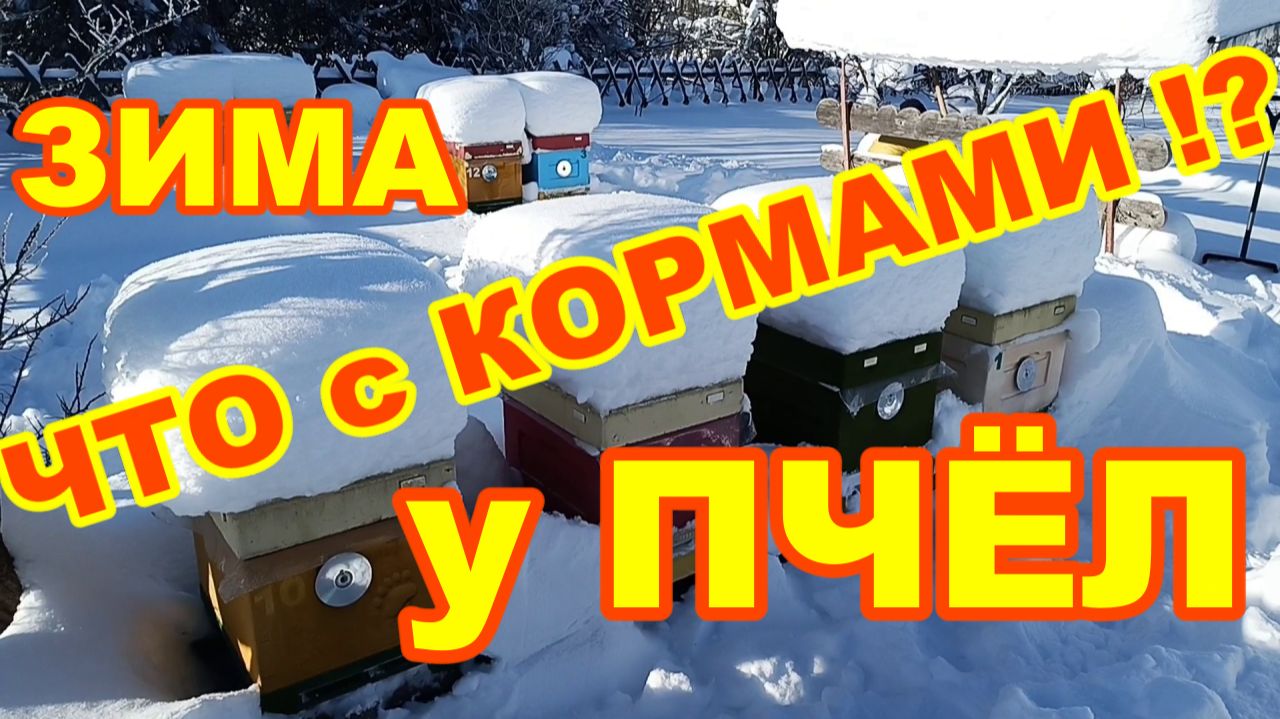 Зима на пасеке что с КОРМАМИ ! Осмотр ульев на наличие КОРМОВ ! Зимовка ПЧЁЛ в ульях ППС и ППУ !