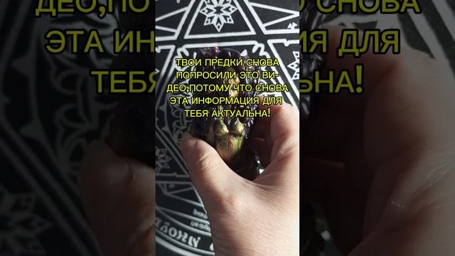 ТВОИ ПРЕДКИ ОЧЕНЬ ПОПРОСИЛИ ЭТО ВИДЕО ДЛЯ ТЕБЯ