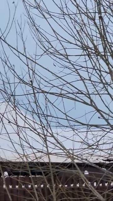 Как понять, хорошо ли утеплён дом в части крыши.